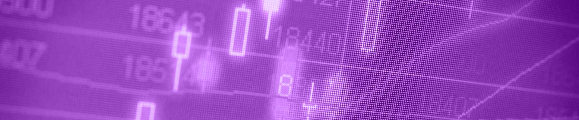 SS4E | Corporate Risk Analysis